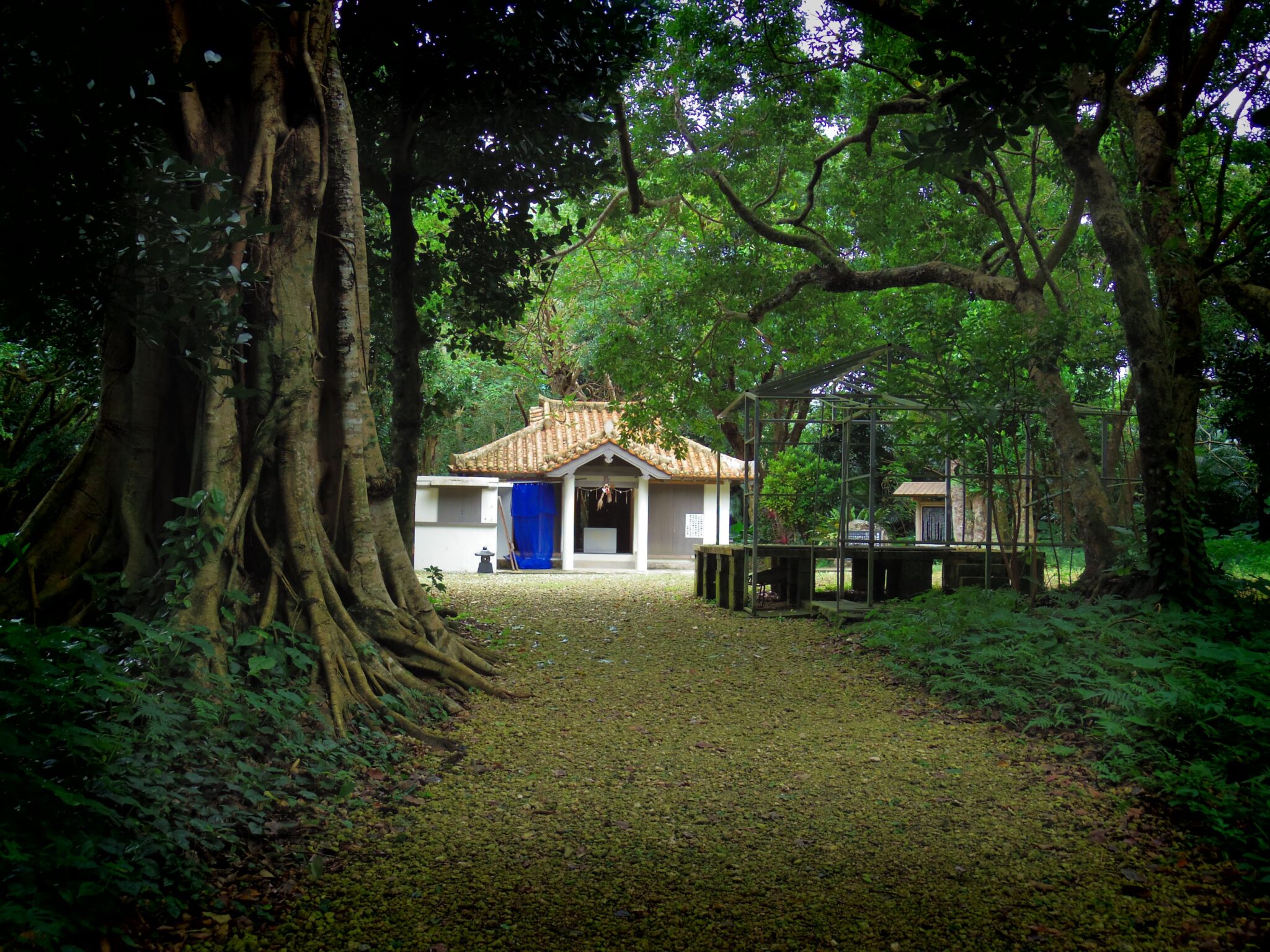 土地公廟から見る日本最南端の台湾系移住民社会 - 日本華僑華人学会